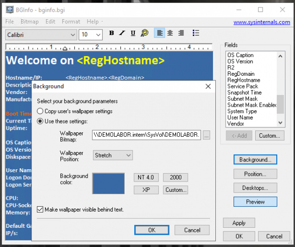 BGInfo-Einrichtung – Ronny Böttcher